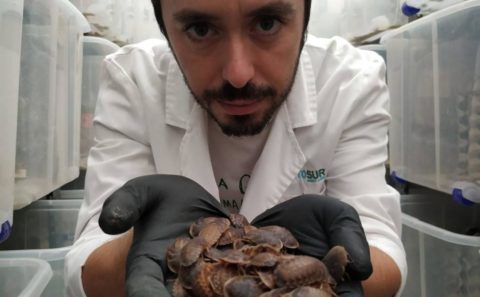 Granjas de insectos para anticiparse al futuro | UMFFAAC